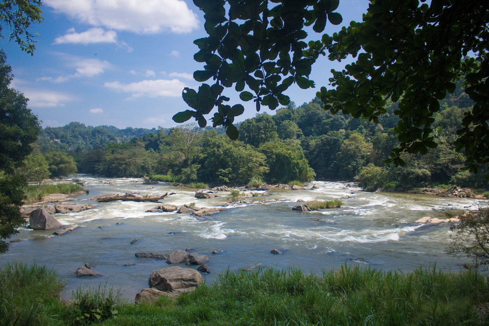 Holistic Villas River - Holistic Resorts and Villas